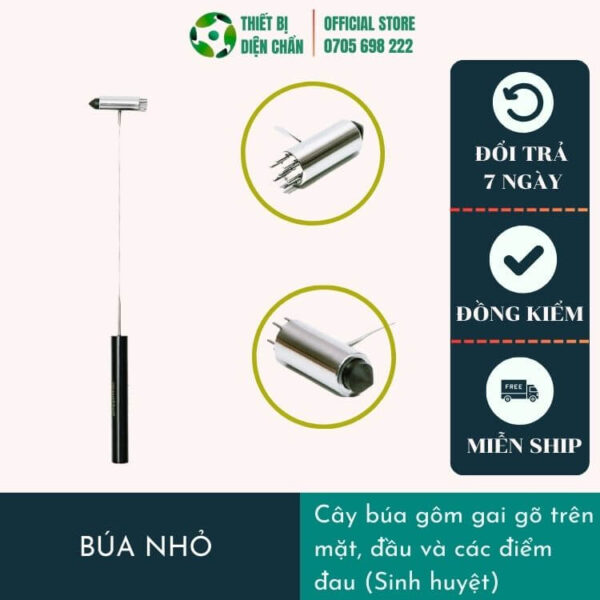 Cây Búa Gôm Gai Búa Nhỏ - Thiết Bị Diện Chẩn